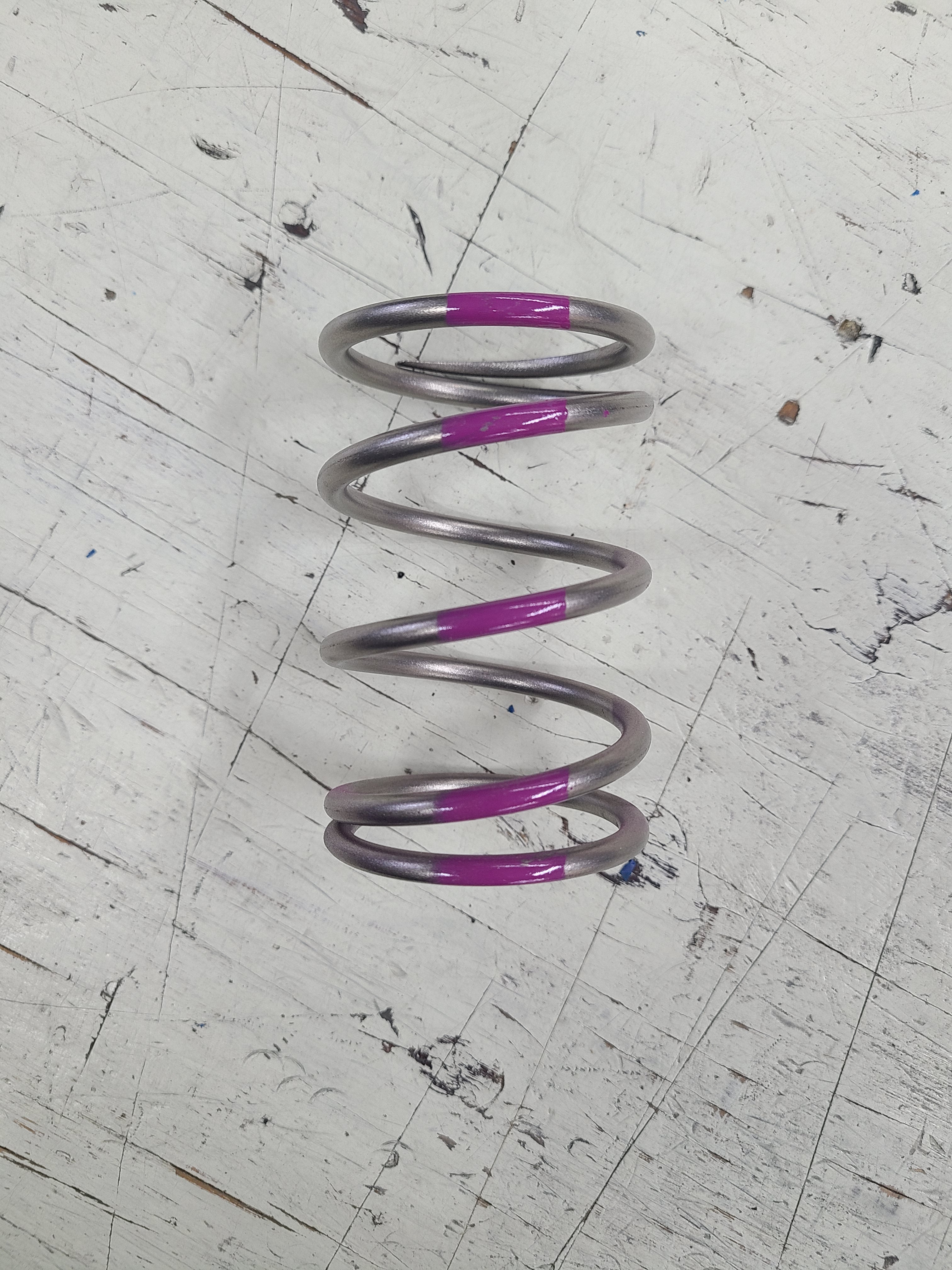 SPEED - PURPLE SPRING | TAPP Clutch USA